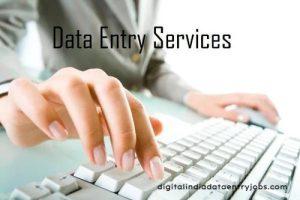 RCH Data Entry, Reproductive and Child Health, Data Entry Online
